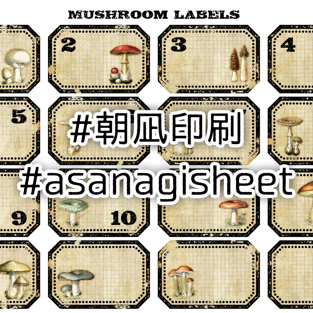 Freebie Mushroom Labels – ASANAGI Insatu